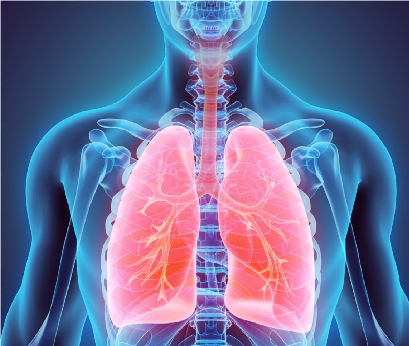 carcinogen – SafetyNow ILT