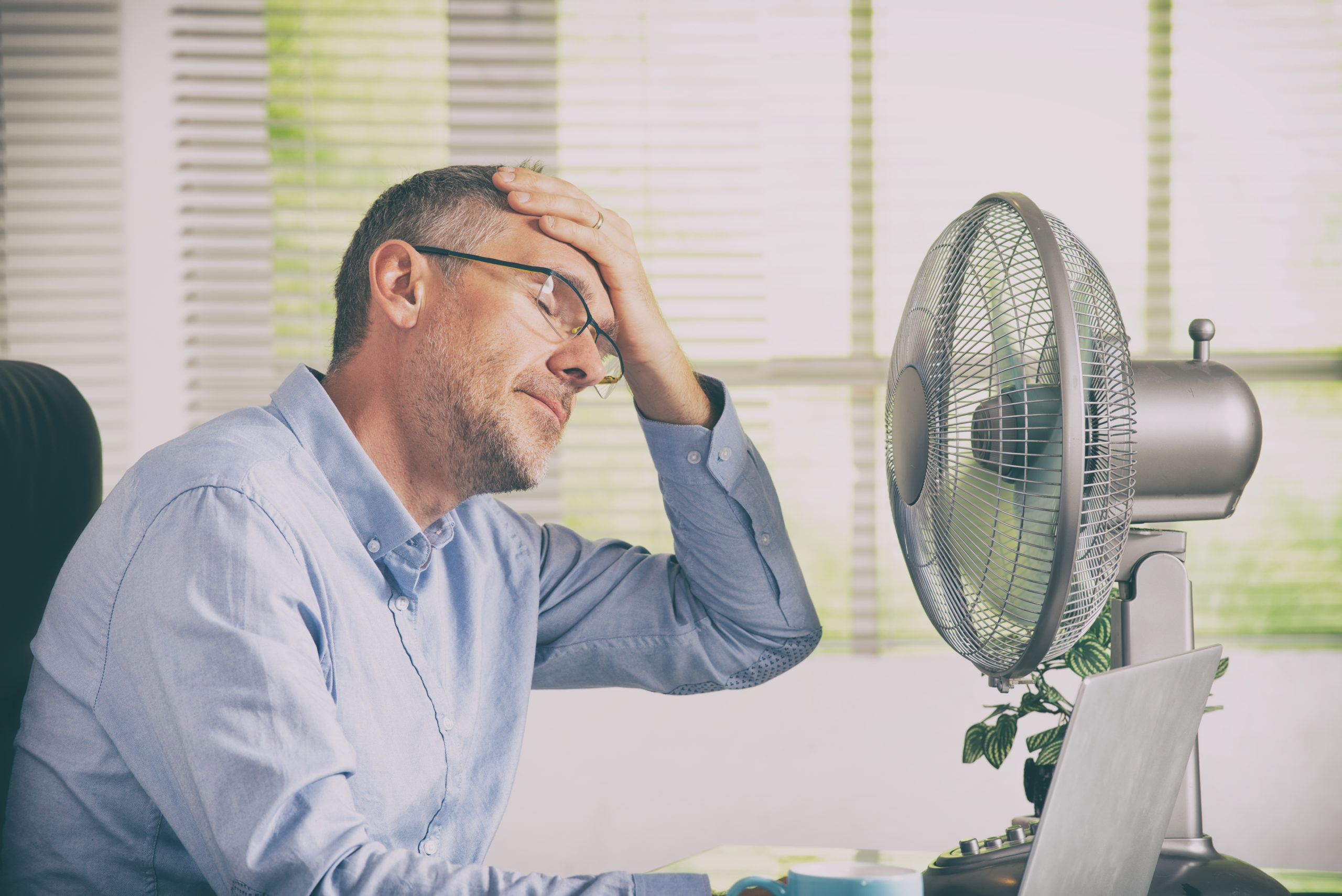 Elements of a Comprehensive Heat Stress Program – Quick Tips ...