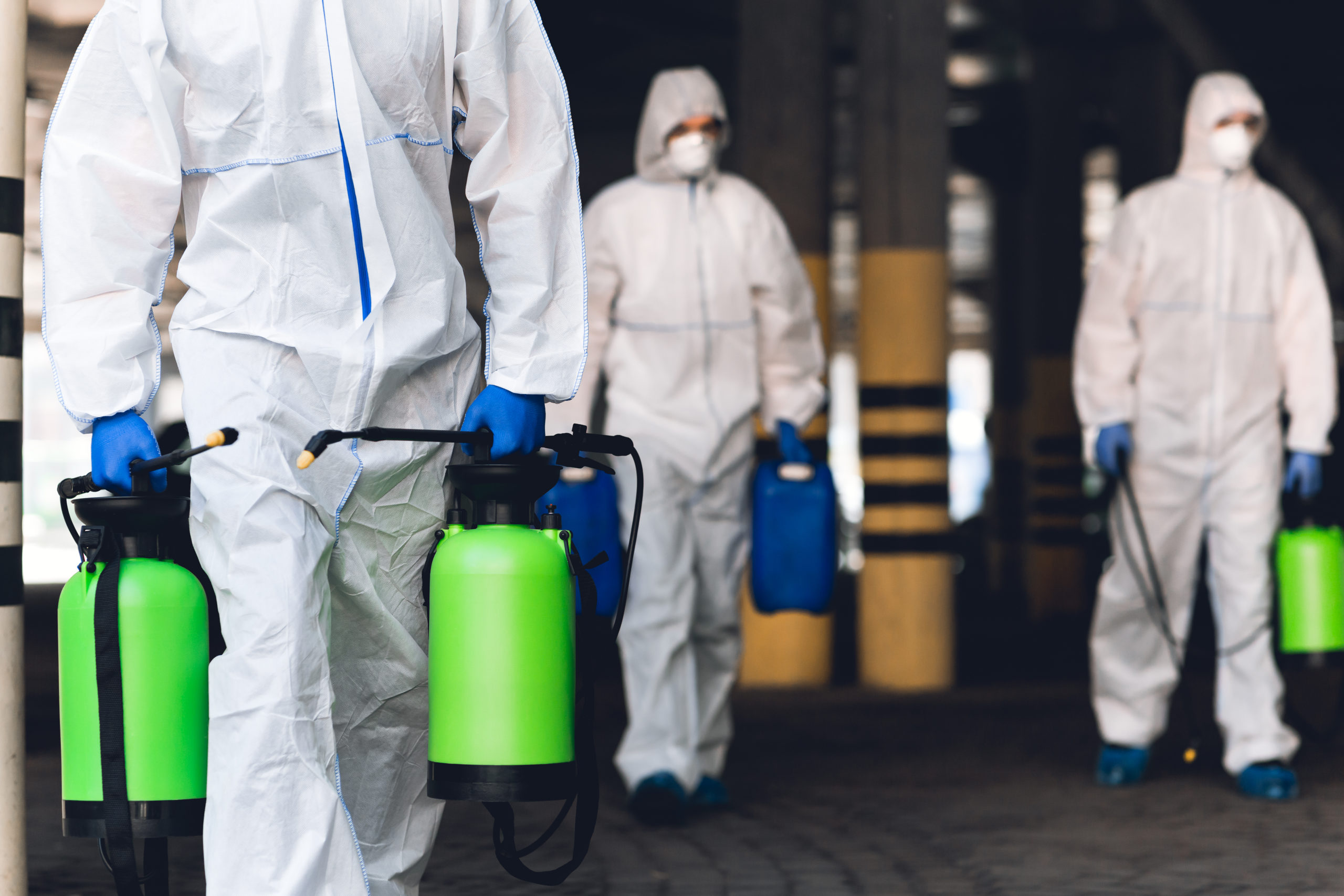 Mold Remediation, Prevention and PPE – Quick Tips – SafetyNow ILT