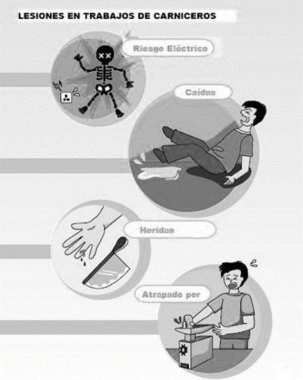 Animal Processing Safety Picture This – Spanish – ICW