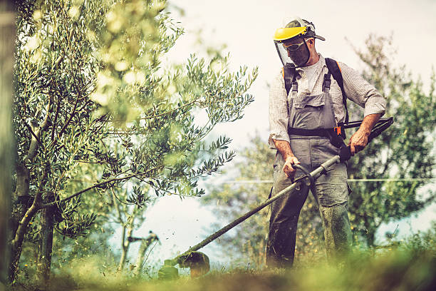 Weed Wacker Safety Stats and Facts – SafetyNow ILT