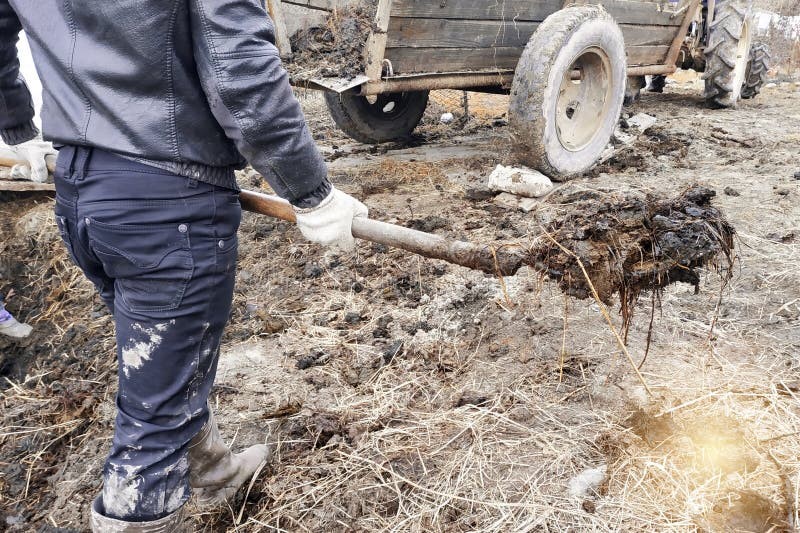 Manure Pits Stats and Facts – SafetyNow ILT